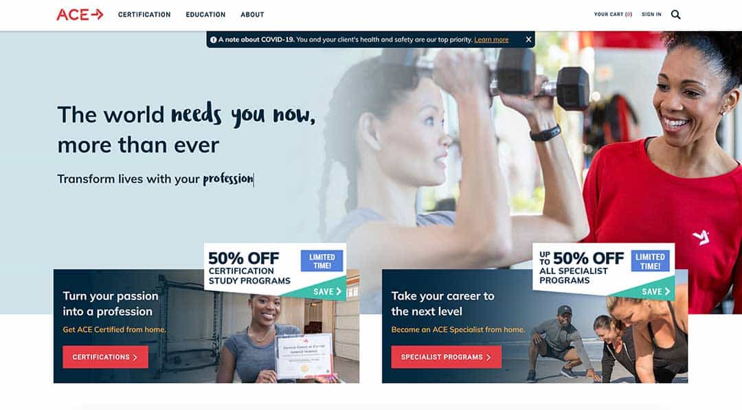 15 Best Fitness Affiliate Programs (2024) 1st-Hand Data