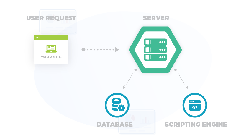 Nginx vs Apache: Which Server to Use in 2024?